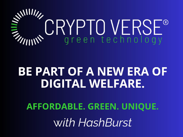 Crypto Verse: Official Website Now Online with Dedicated Dashboard :: Synapta