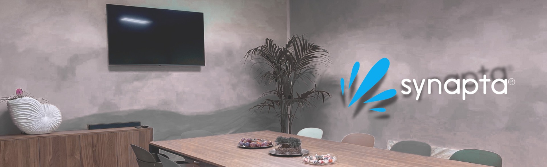 Riunioni ATP :: Synapta